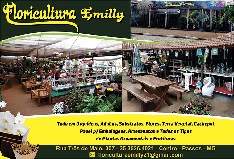 FLORICULTURA EMILLY, 3526-4021 - Click & Disk